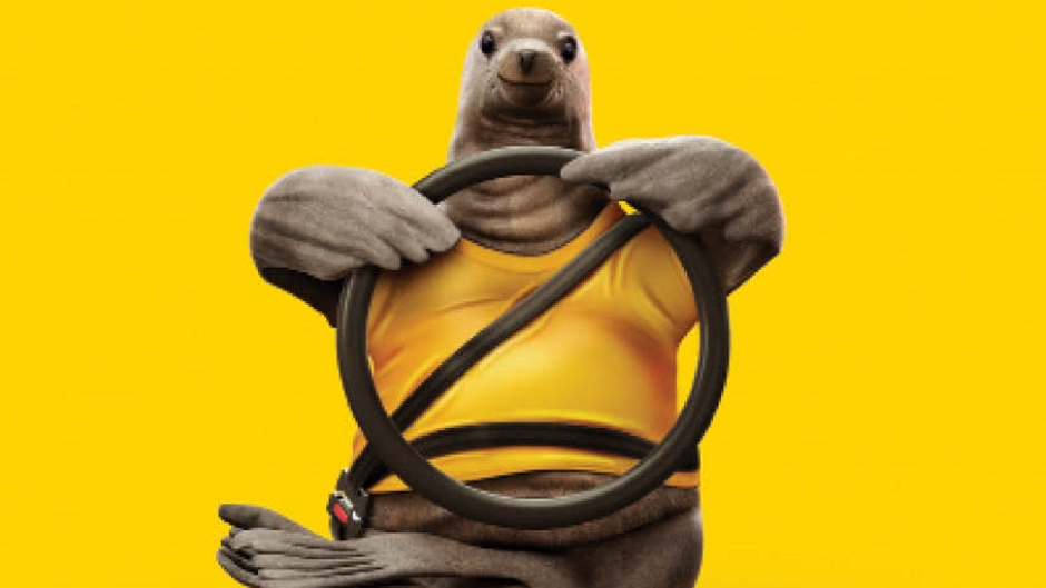 Detran.SP lança campanha #FocaNoTrânsito para reduzir acidentes e ...